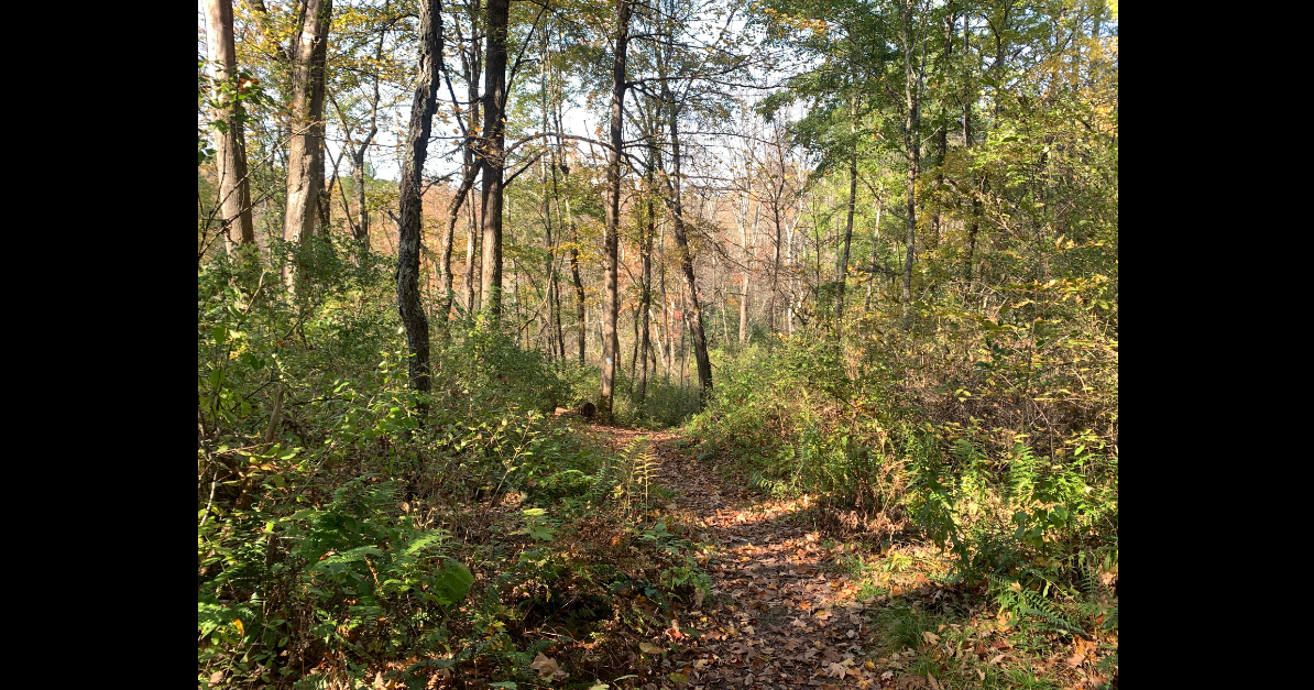 Hiking on the Robert Frost Trail on an October afternoon | Outdoors ...