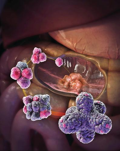 Lab-made 'mini organs' help doctors treat diseases | Entertainment ...