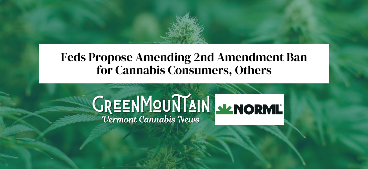Feds Propose Amending 2nd Amendment Ban for Cannabis Consumers, Others ...