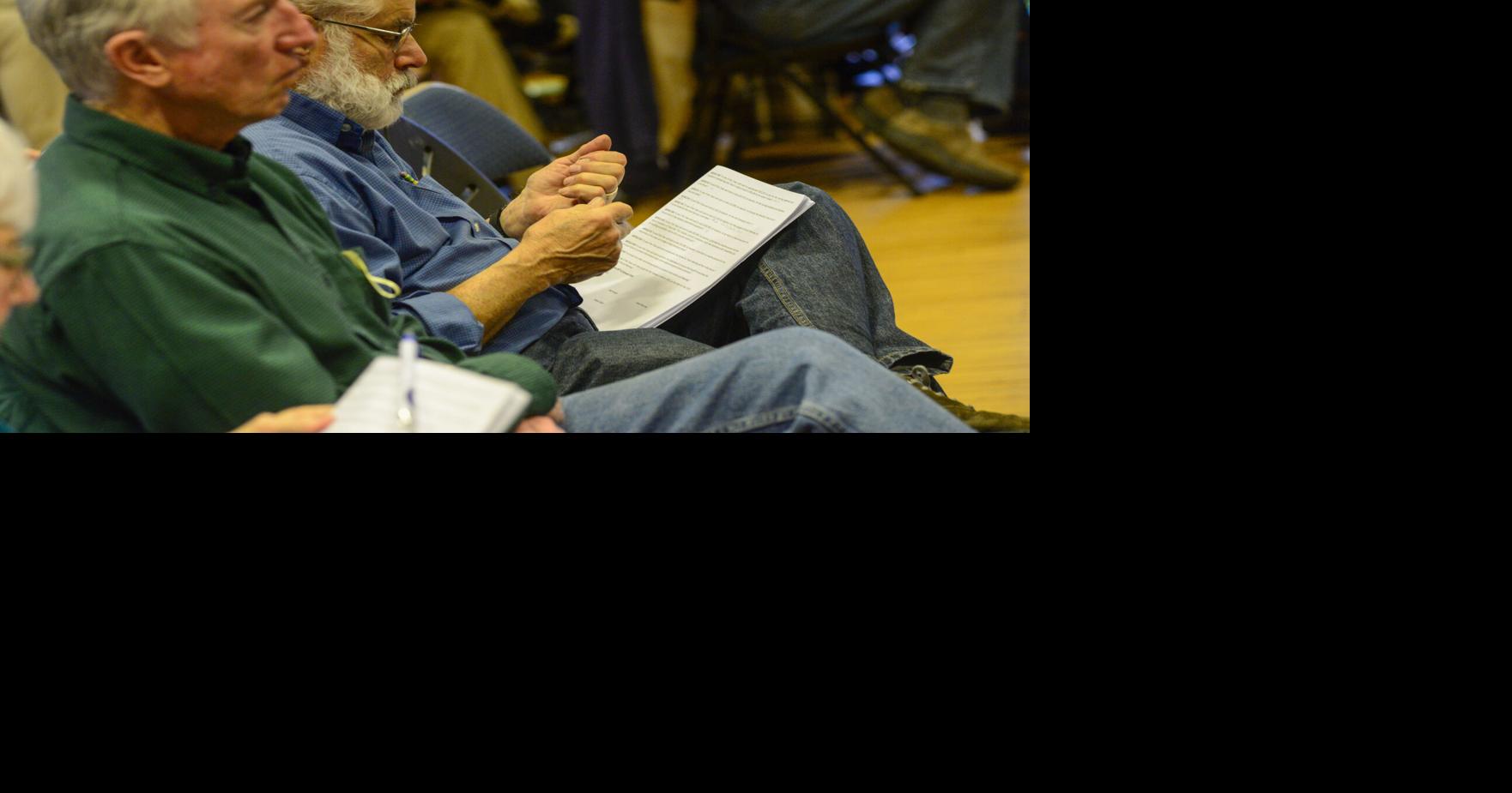 Townshend voters approve all articles at Town Meeting, despite ...