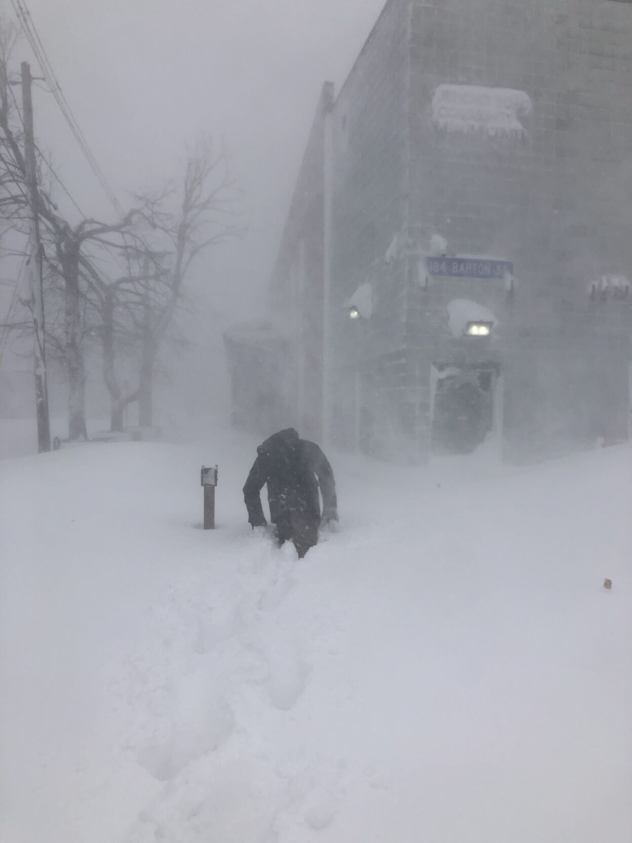 The native and the nativity: Brattleboro native helps deliver Christmas ...