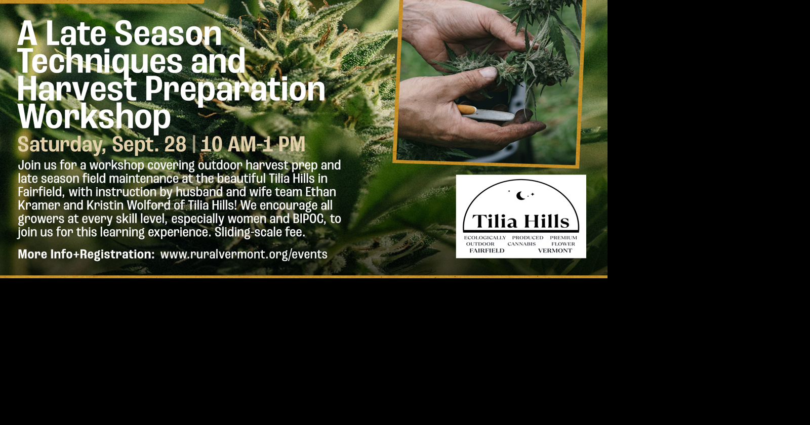 Workshop Preview: Don’t Miss Out on Essential Late-Season Cannabis ...