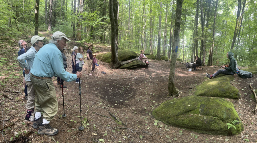 Bonnyvalewill celebrate summer solstice with a Forest of Melody ...