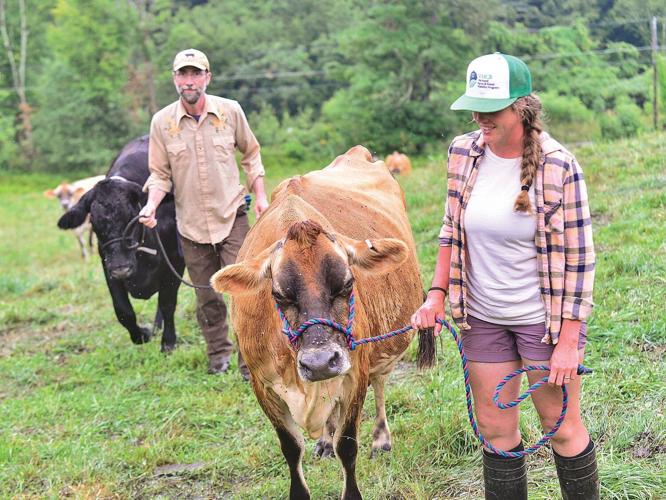 Rebop, Scott farms to open doors to public | Local News | reformer.com