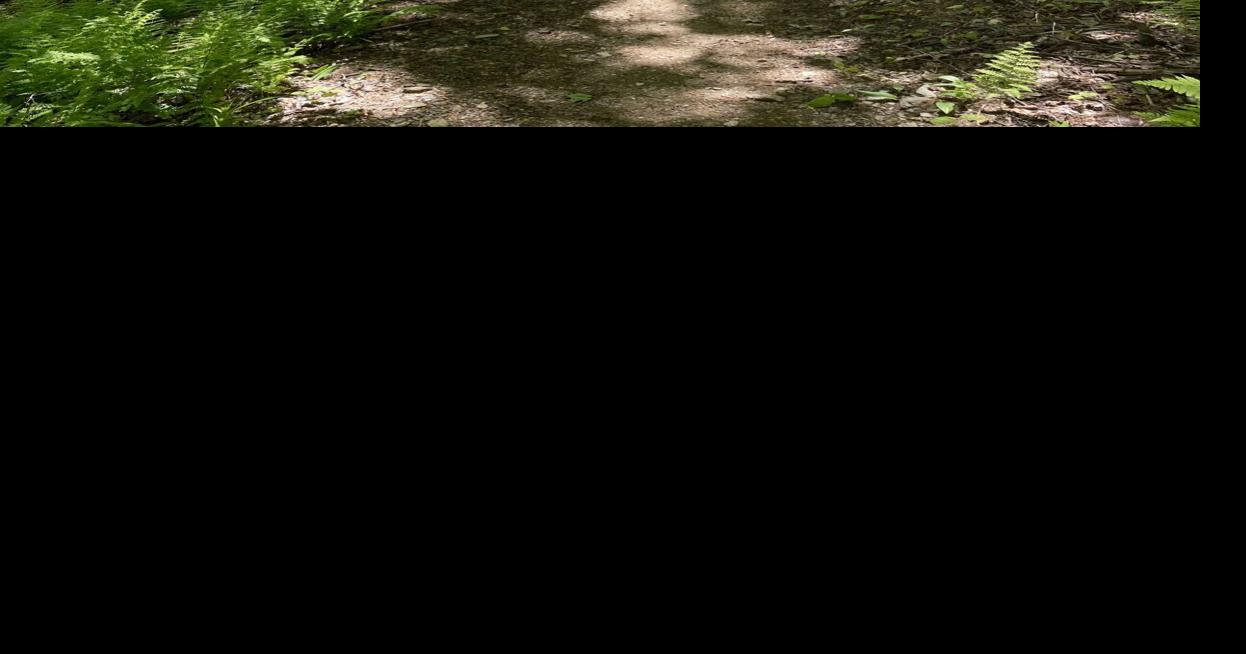 Forest Service to hold public meeting on Velomont Trail Project | State ...