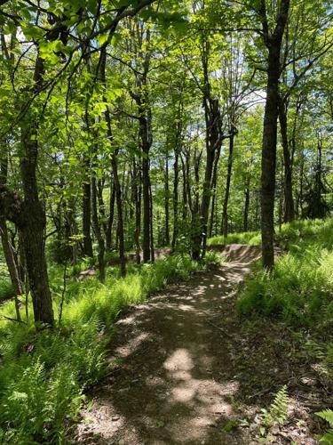 Forest Service to hold public meeting on Velomont Trail Project | State ...