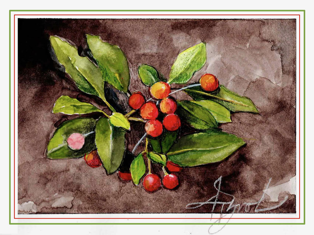 The Outside Story | Hollies offer more than holiday cheer | Outdoors ...