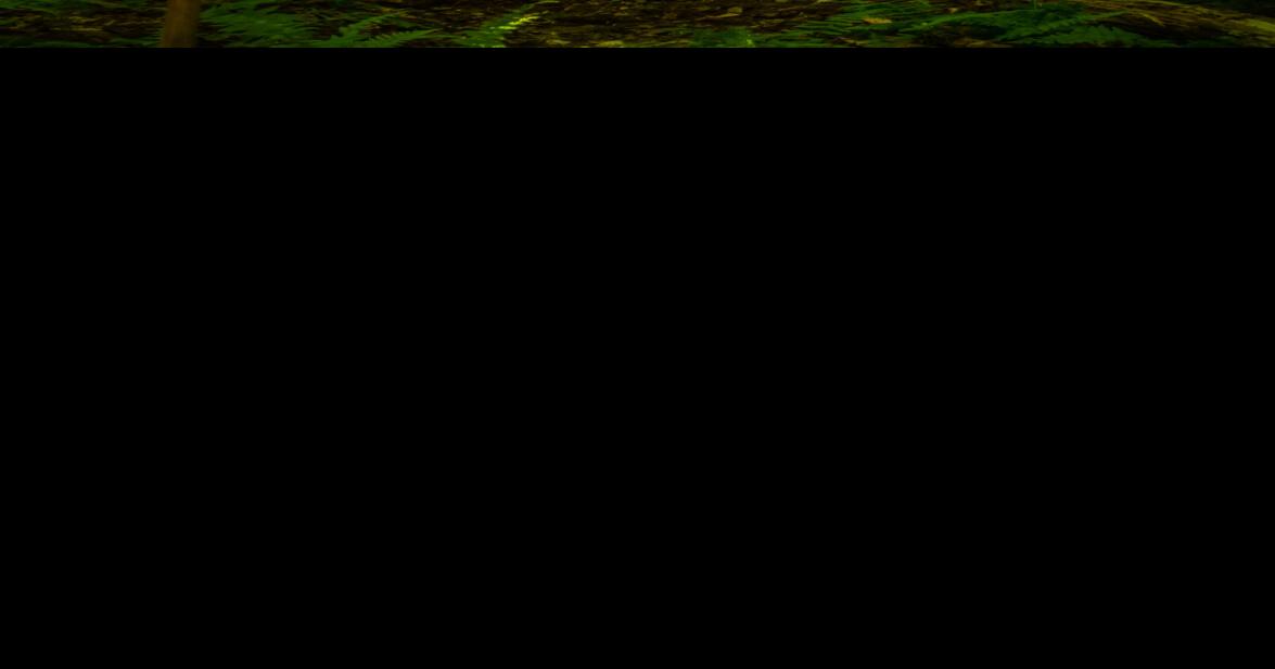 SoVTA gets grants for Stratton projects | Outdoors | reformer.com