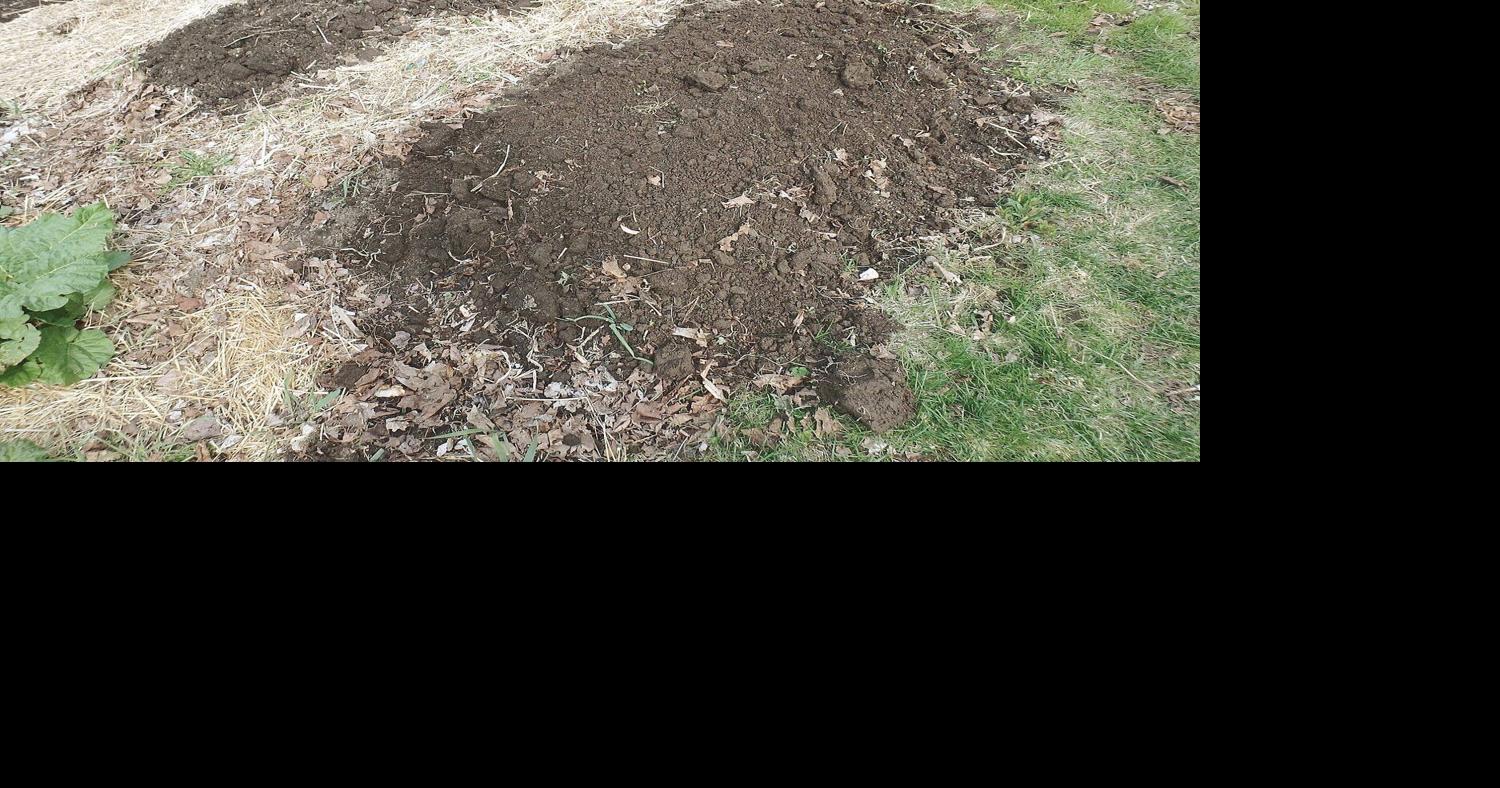 Henry Homeyer: Notes from the Garden | Is it time to plant yet ...
