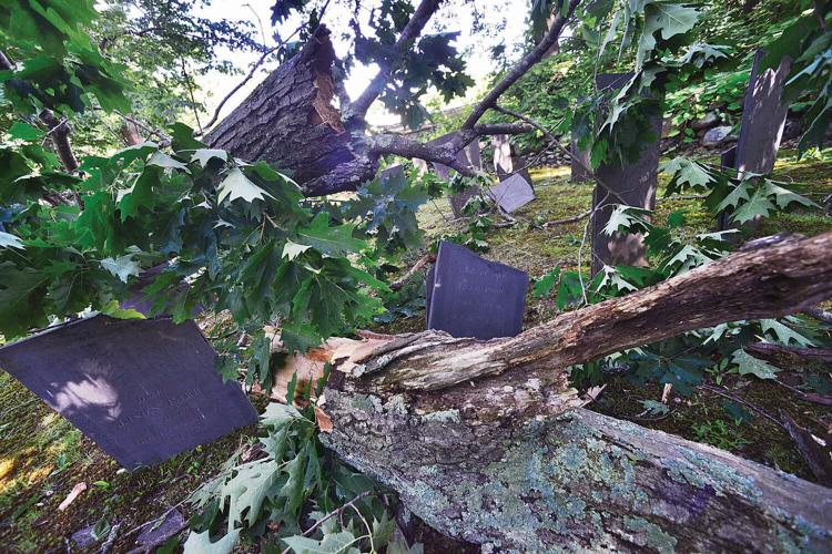 'Straight-line' storm strikes hard, fast | Local News | reformer.com