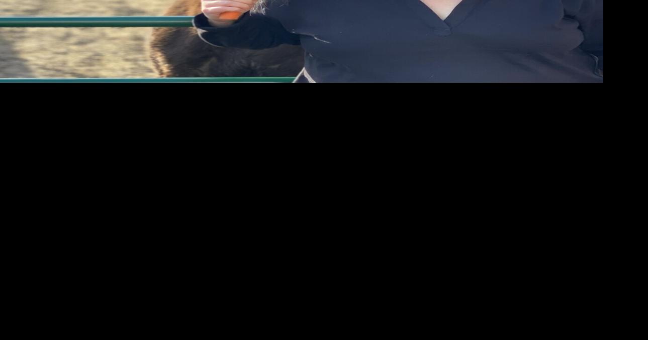 Old Rupert farm to give new life to abused, neglected horses | Local ...