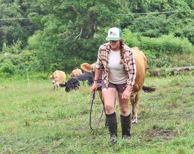 Rebop, Scott farms to open doors to public | Local News | reformer.com