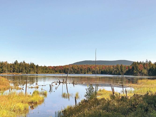 The long hike to Bourn Pond | Outdoors | reformer.com