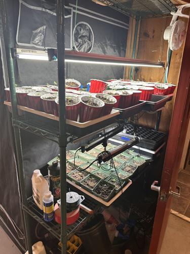 Deep Dive into Outdoor Weed Cultivation: Insights from the Vermont Grow ...