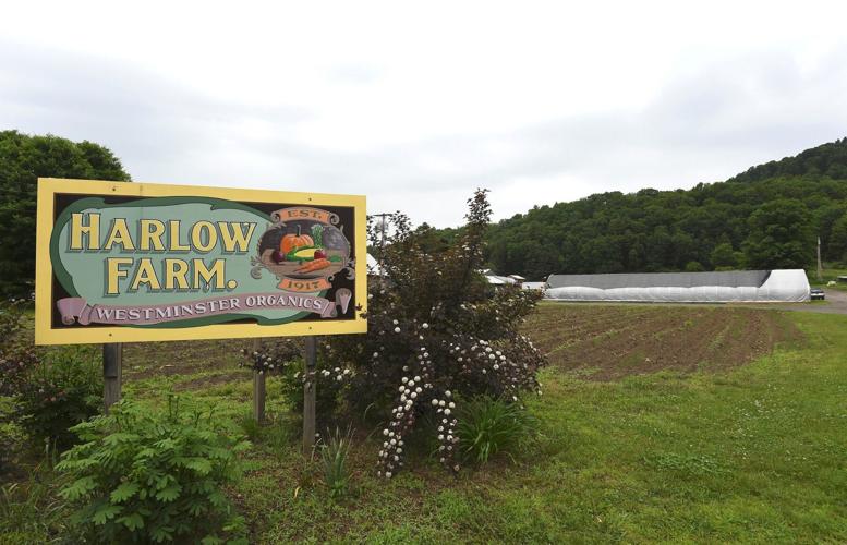 Owner of Harlow Farm gets conservation easement | Local News | reformer.com