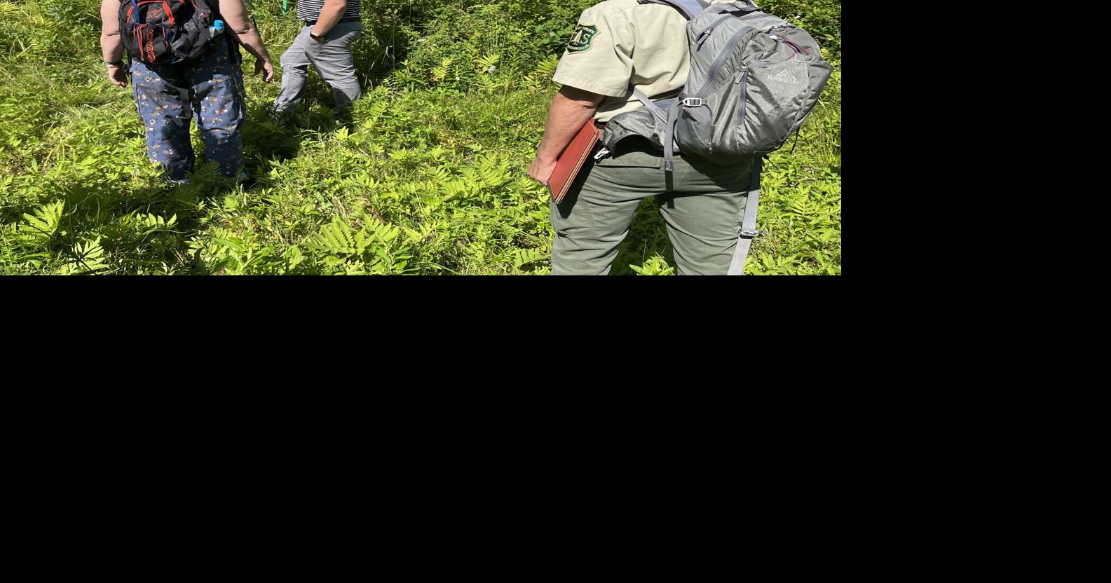 U.S. Forest Service, Dover, trails organization get on 'same page' at ...