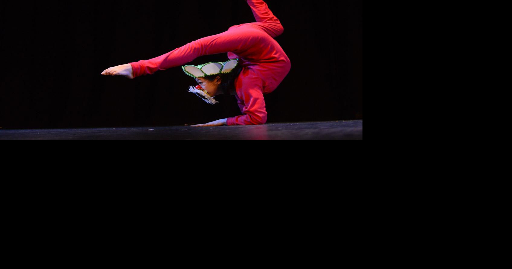 Contortionist takes top honors in Windham County's Got Talent ...