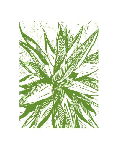 Harmony Collective presents linocut prints, handmade sketchbooks by ...