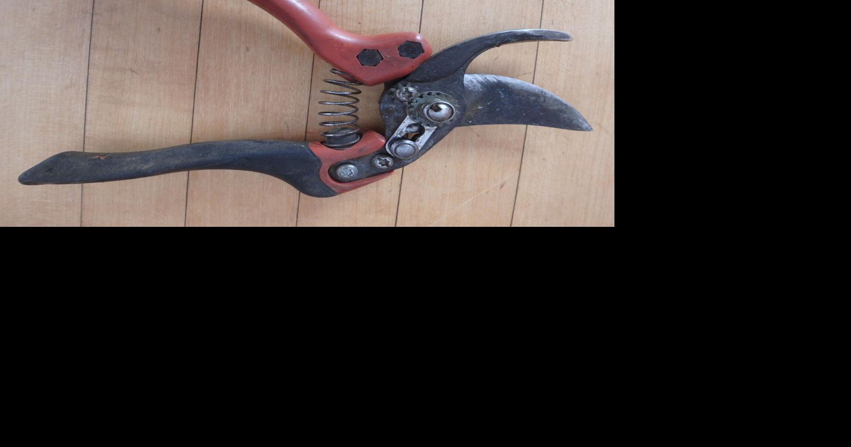 Henry Homeyer | Notes from the Garden: Sharpening pruners | Outdoors ...