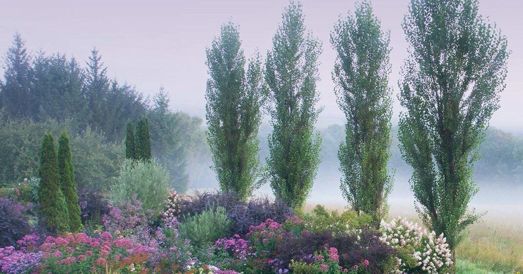 Michael F. Epstein | BookMarks: 'Spirit of Place' is the perfect garden ...