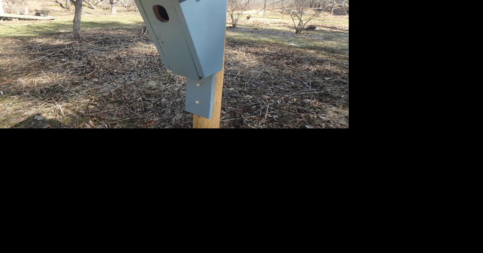 Henry Homeyer | Notes from the Garden: How what we grow helps our ...