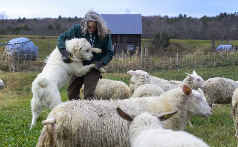 Community Profile | 'I’ve found my place': Ruthann Rudel's essential ...