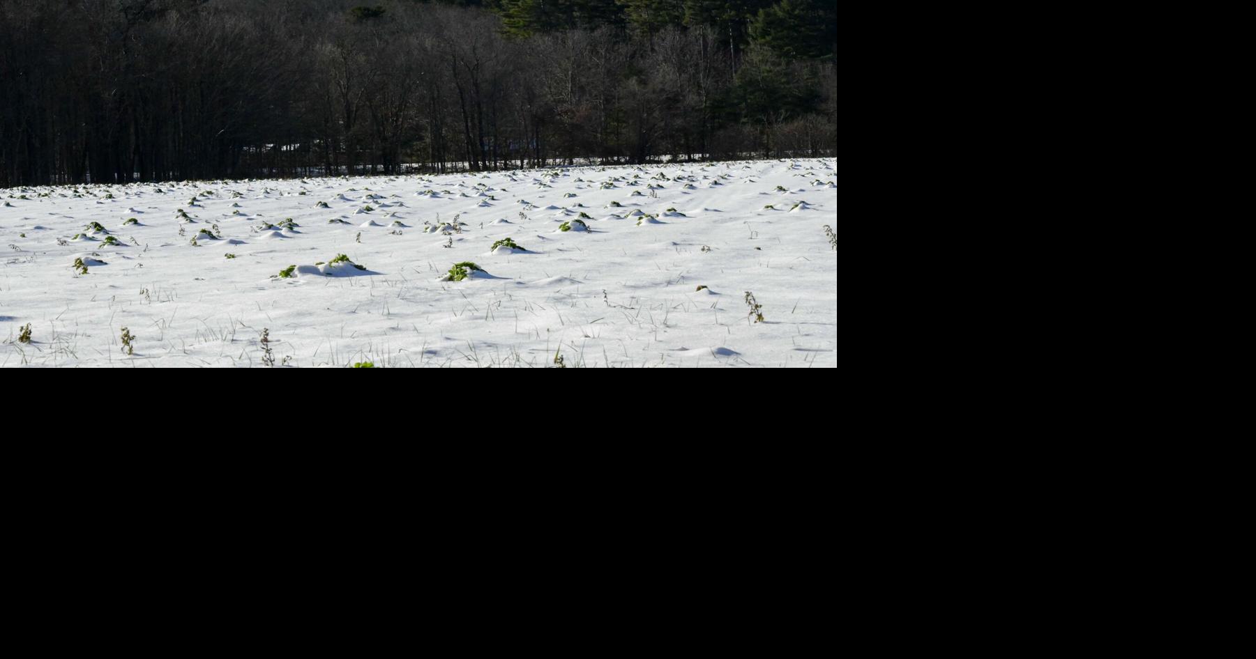 Vernon opposes solar project on farm land proposed by Great River Hydro ...