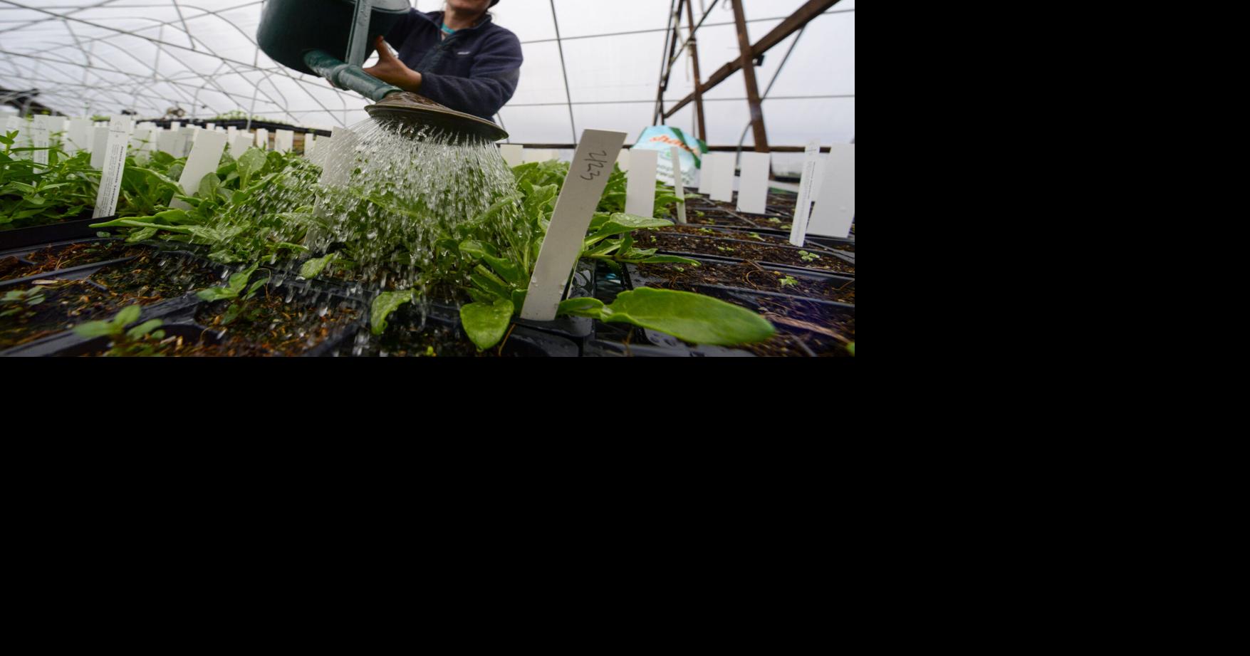 Gordon Hayward | Community Profile: Bringing the Bunker Farm back to ...