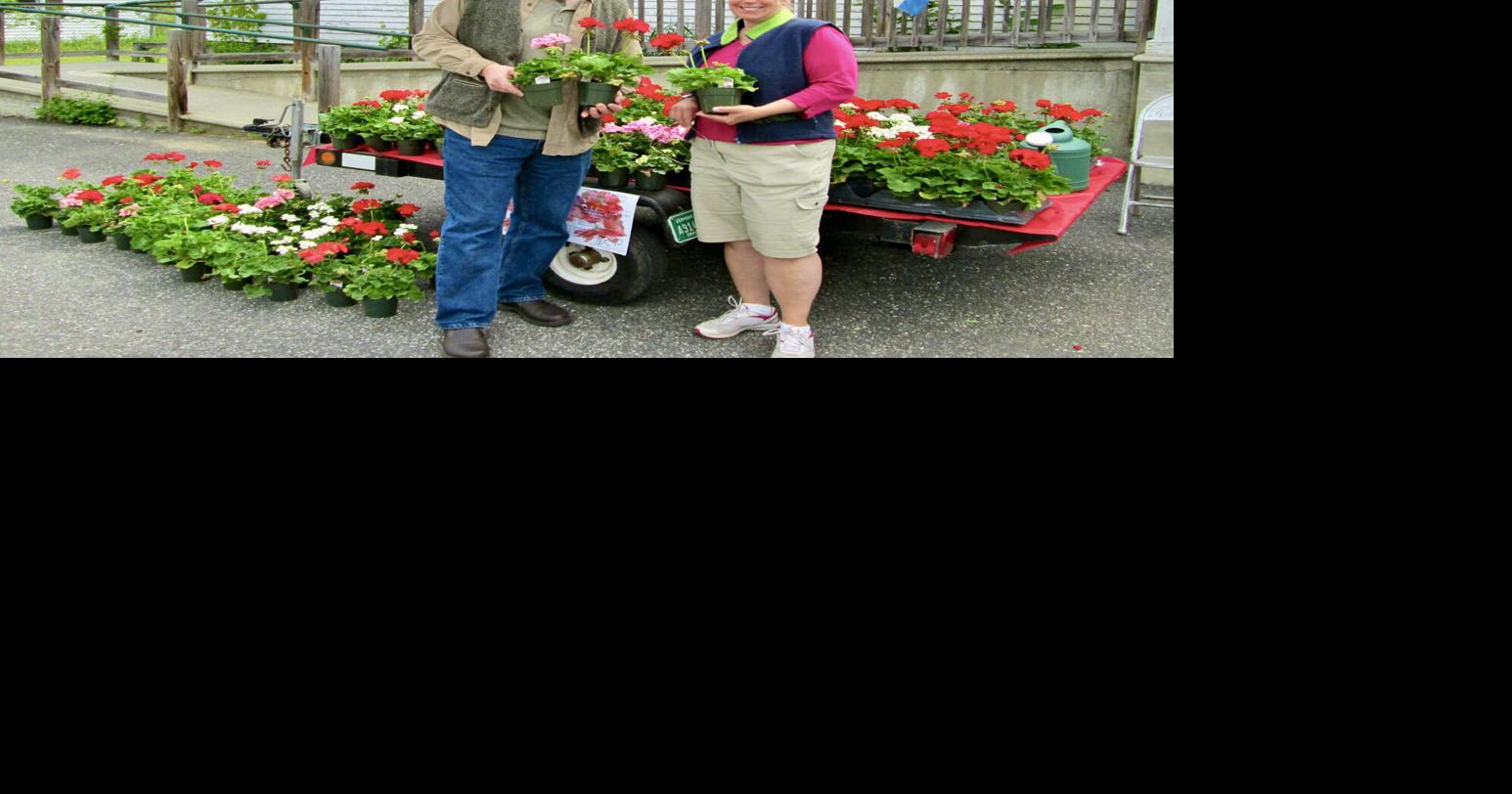 Geranium Festival benefits Lydia Taft Pratt Library | Community-news ...