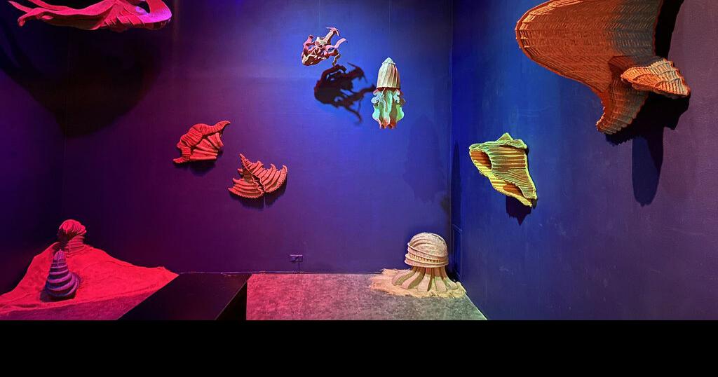 Sculptor Art Costa discusses his BMAC exhibit 'Sounds Deep ...