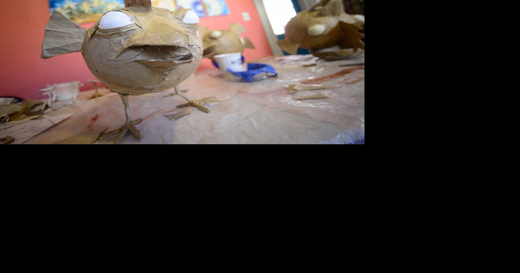 PHOTOS: Repopulating the puffer chicken | Multimedia | reformer.com