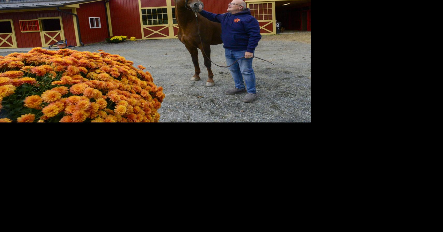 'I always had a horse': Shooting Star Farm in Spofford celebrates new ...