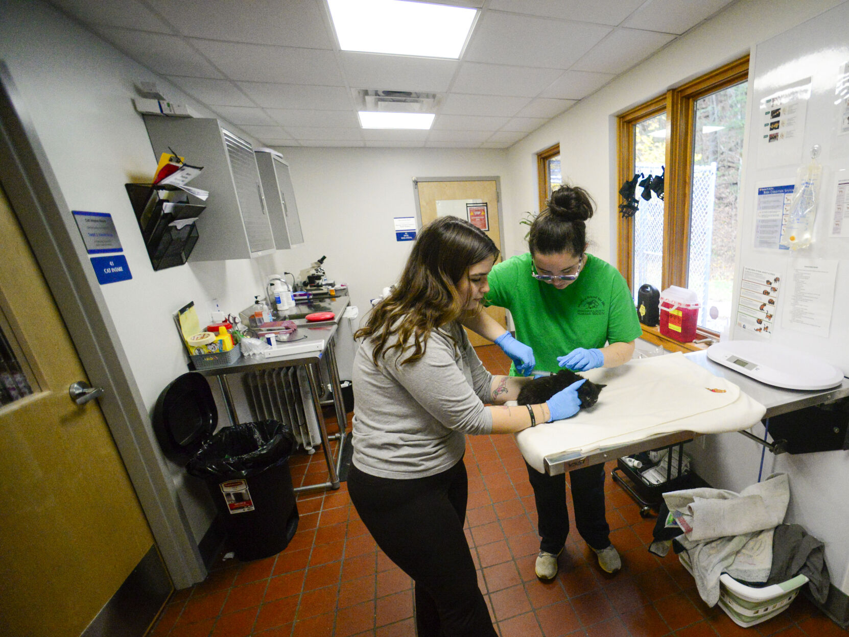 Community Profile by Gordon Hayward: Hayley Hescock follows her passion ...
