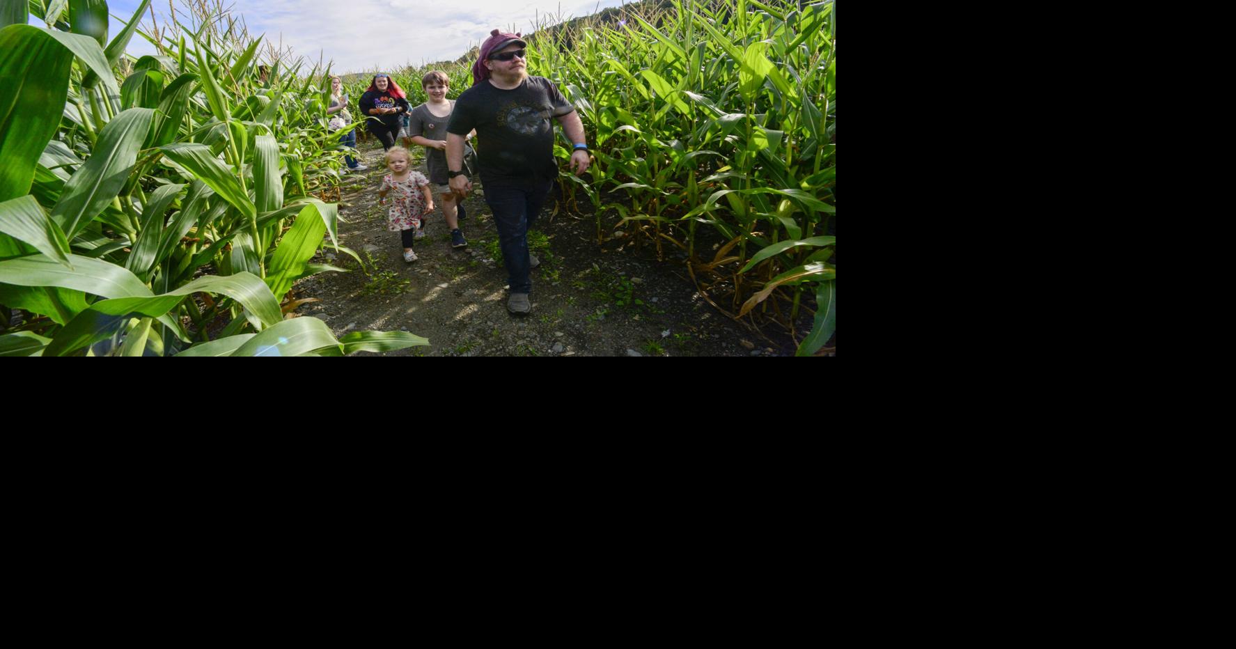 Fall fun at Gaines Farm | Local News | reformer.com