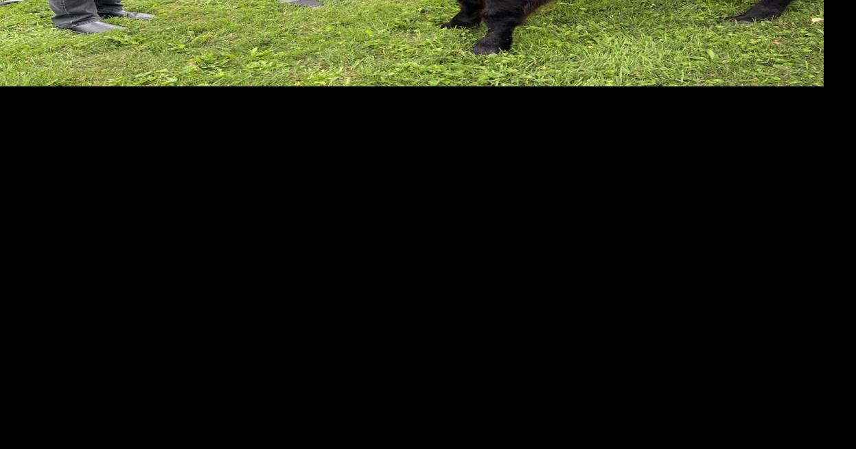 Govenor Scott proclaims 'Agritourism month' for August | Community-news ...