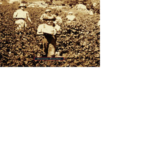 'Lost Farms' author visiting Friday Memorial Library | Things To Do ...