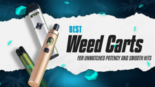 5 Best Weed Carts for Unmatched Potency and Smooth Hits | Cannabis ...