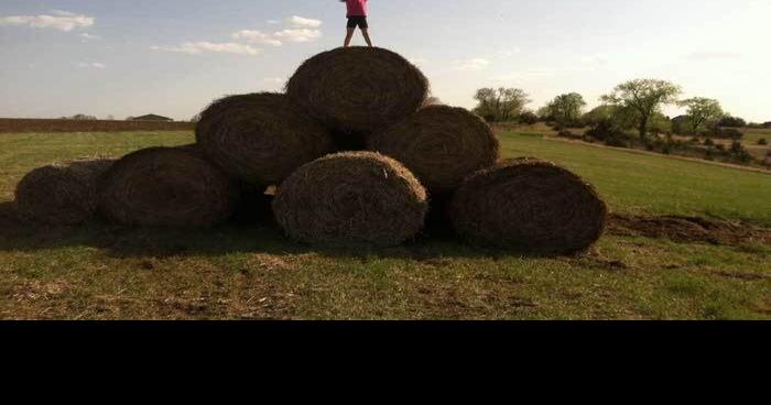 Goliath Challenge obstacle races set for May 30 | Things To Do ...