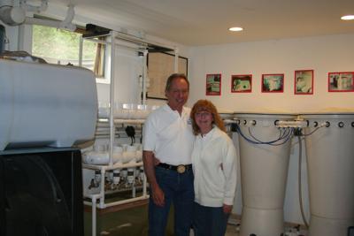 Couple delivers 'green' business pitch to Afton | Local News ...