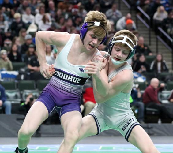 ‘Did it for him too’: Bortz brothers finish top-3 at state | Sports ...