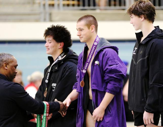 Red Wing's Mikkelson finishes second in state | Sports ...