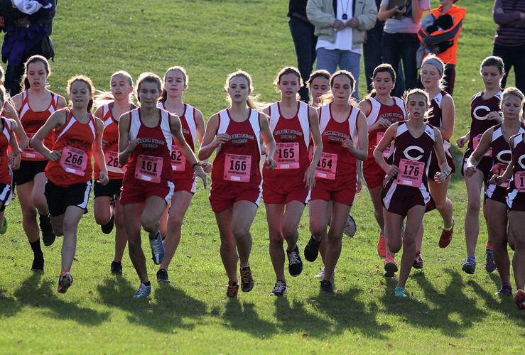 Cross-Country: Lake City boys take 1A title; three area girls to state ...