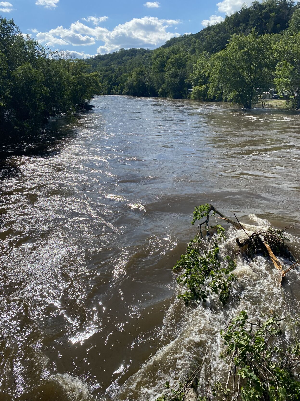 'Unhinged': Cannon River crests, Mississippi River crest still to come ...