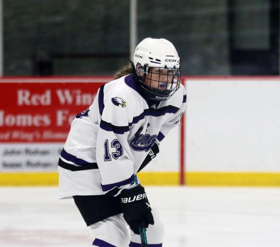 Red Wing returns young, driven team from last season | Sports ...