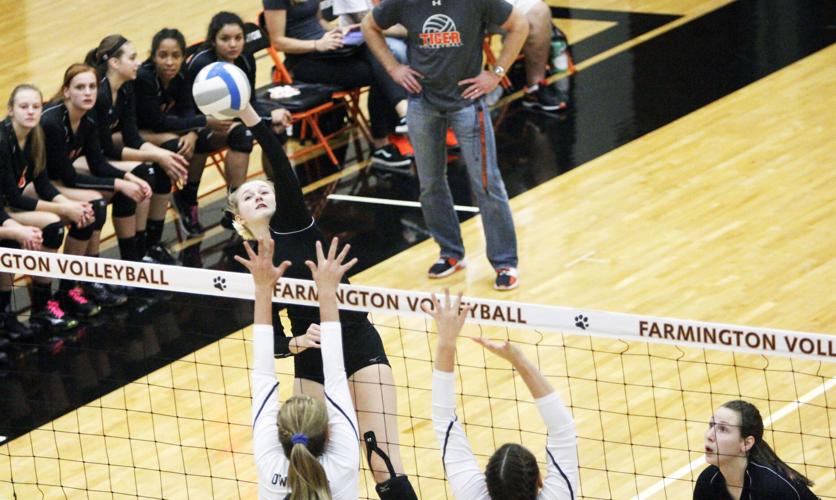 Tiger volleyball wins thriller over Owatonna before falling to ...