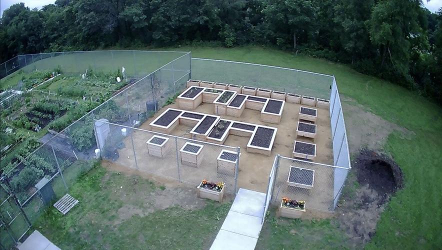 ADA-accessible community garden opens in Red Wing | Local News ...