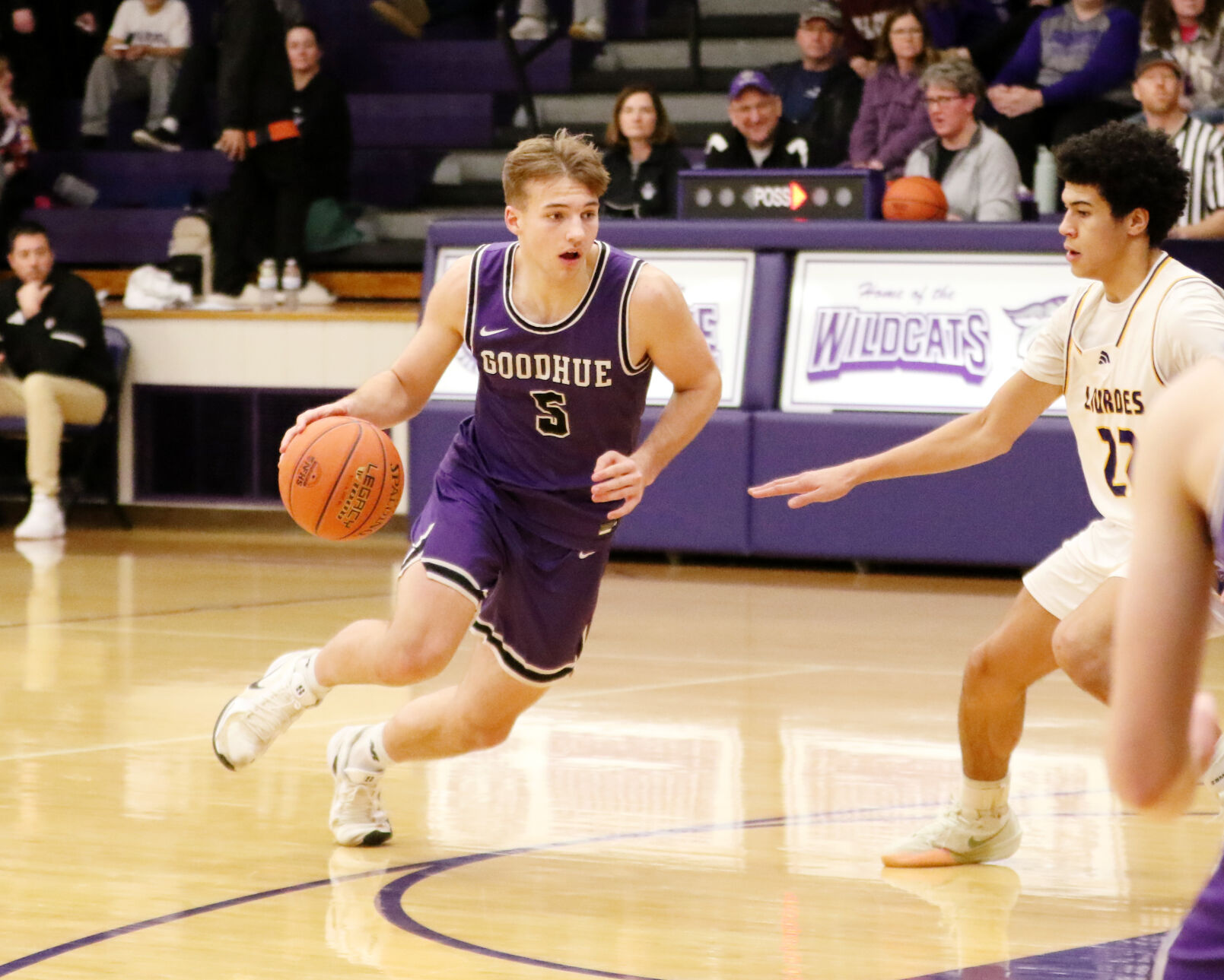 Goodhue brings a potent offense to state tournament | Sports ...