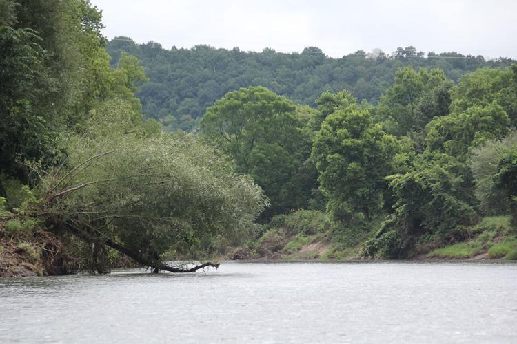 Grab a paddle and head to the Zumbro River | Things To Do ...