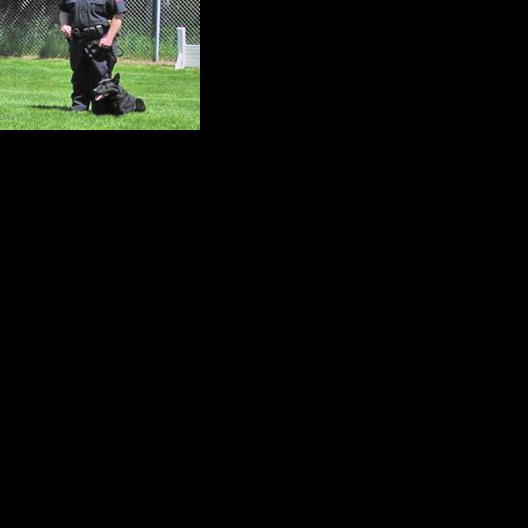 K-9 joins Red Wing Police Department | Local News | republicaneagle.com