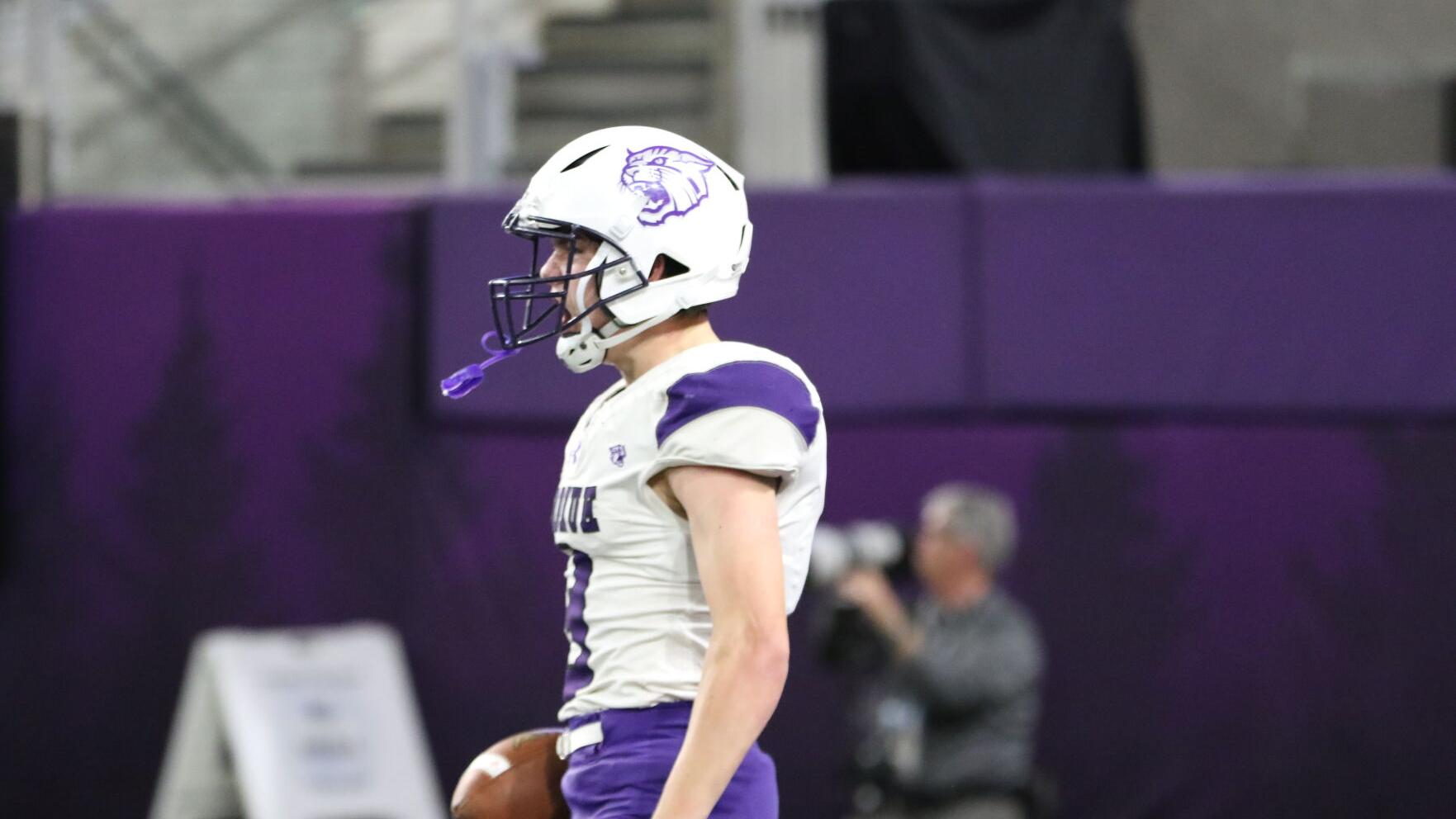 Republican Eagle: Red Wing, MN